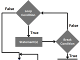 Exit While Loop Using Break Statement In Bash 11 Examples