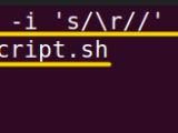 Solved Bin Bash M Bad Interpreter No Such File Or Directory