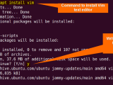 How To Install Vim In Ubuntu 5 Methods Linuxsimply