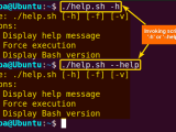 How To Use Flags In Bash If Condition With Example Linuxsimply