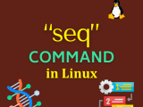 The Seq Command In Linux With 8 Practical Examples Linuxsimply