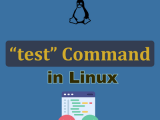 The Test Command In Linux With 5 Practical Examples Linuxsimply
