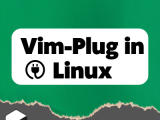 How To Install And Use Vim Plug In Linux Explained Linuxsimply