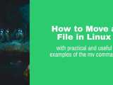 Sudo Rm Rf The Command You Should Never Run