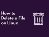 Sudo Rm Rf The Command You Should Never Run