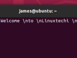 16 Echo Command Examples In Linux