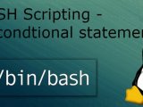 8 Bash Scripting For Conditional Statement Linuxtechlab