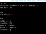 Important Bash Tips Tricks For Beginners Linuxtechlab