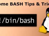 Important Bash Tips Tricks For Beginners Linuxtechlab