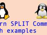 Learn Split Command With Examples Linuxtechlab