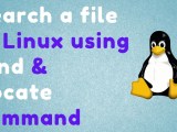 Search A File In Linux Using Find Locate Command Linuxtechlab