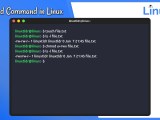 Beginners Guide For Chmod Command On Linux