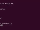 What Is Shell Cli Vs Gui Shell Scripting Explained