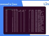 Beginners Guide For Ps Command In Linux