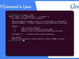 Beginners Guide For Export Command In Linux