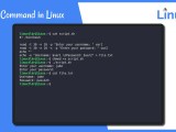 Beginners Guide For Read Command In Linux