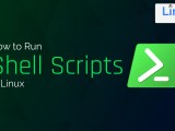 How To Run Sh Shell Script In Linux For Beginners