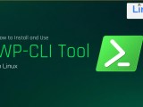How To Install And Use Wp Cli Tool On Linux Quick Guide