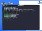 Java Installation On Linux With Hands On Examples