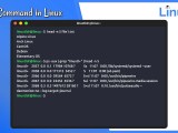 Linux Head Command View Top Of Files Command Output