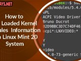 What Are Loaded Kernel Modules And How To List Their Information On A
