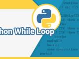 Python While Loop Linuxways