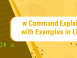 W Command Explained With Examples In Linux Linuxways