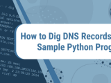 How To Dig Dns Records In A Sample Python Program Linuxways