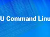 Du Command Linux Linuxways