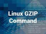 Linux Gzip Command Linuxways