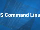 Ps Command Linux Linuxways