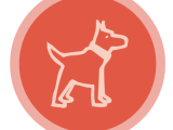 Codehs Lesson Plans