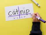 Syllabication Rules Free Syllable Division Rules Poster Literacy Learn