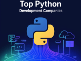 Top 9 Python Development Companies For 2026