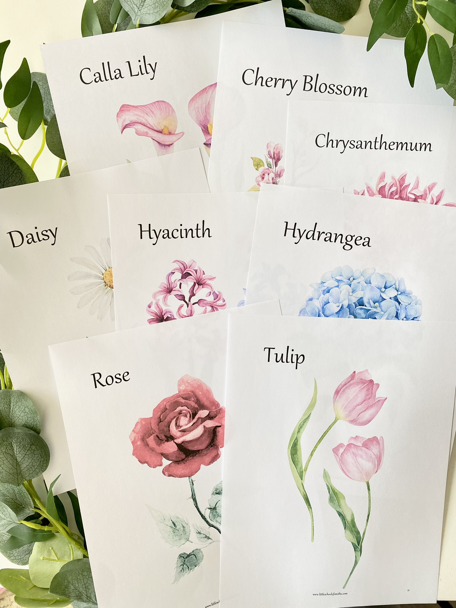 Spring Flower Mini Unit Study – Little School of Smiths