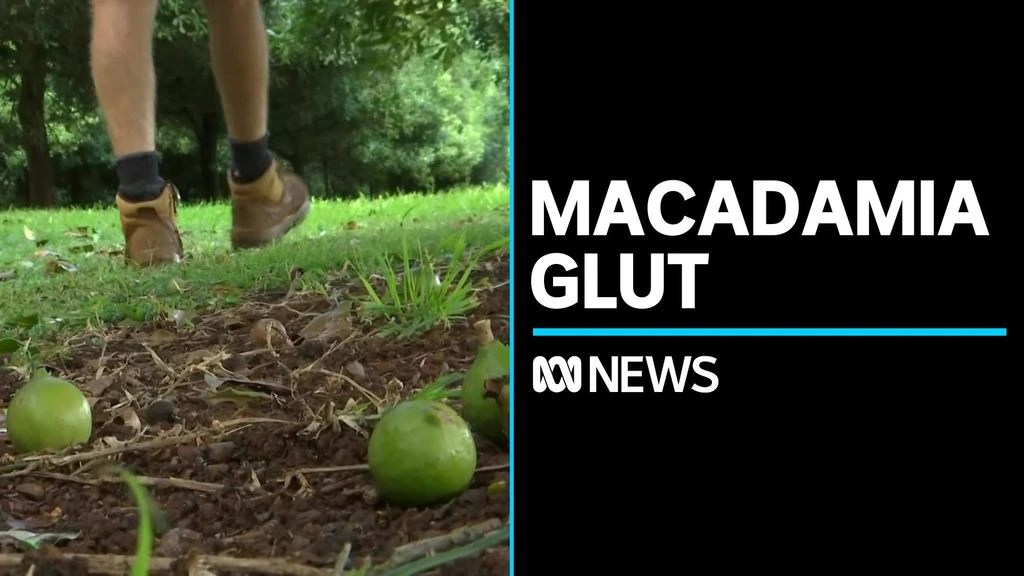 Agricultural Prices Topic Abc News