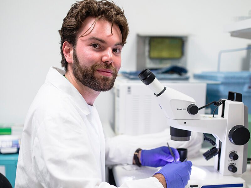 Phd Enrolments Decline Abc Listen