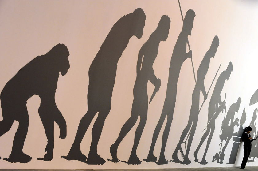 Scientists Uncover Fossils That Show Why Humans Did Not Evolve In Asia