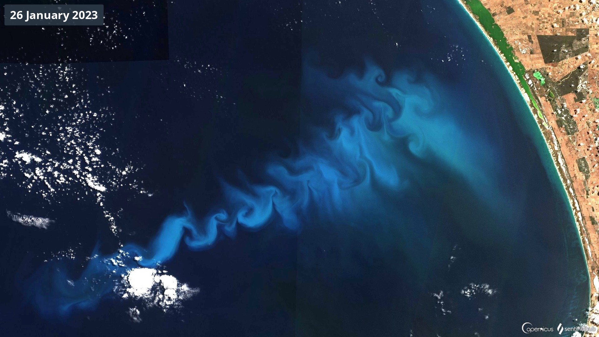 Colourful Phytoplankton Bloom Grows Off South Australian Coast