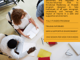 Reconnect Regulate Program Lived Learning Aps Cic
