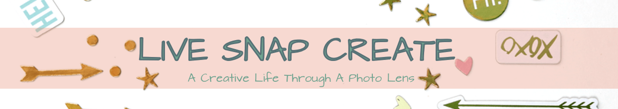 Blog_Header_3 - Live Snap Create