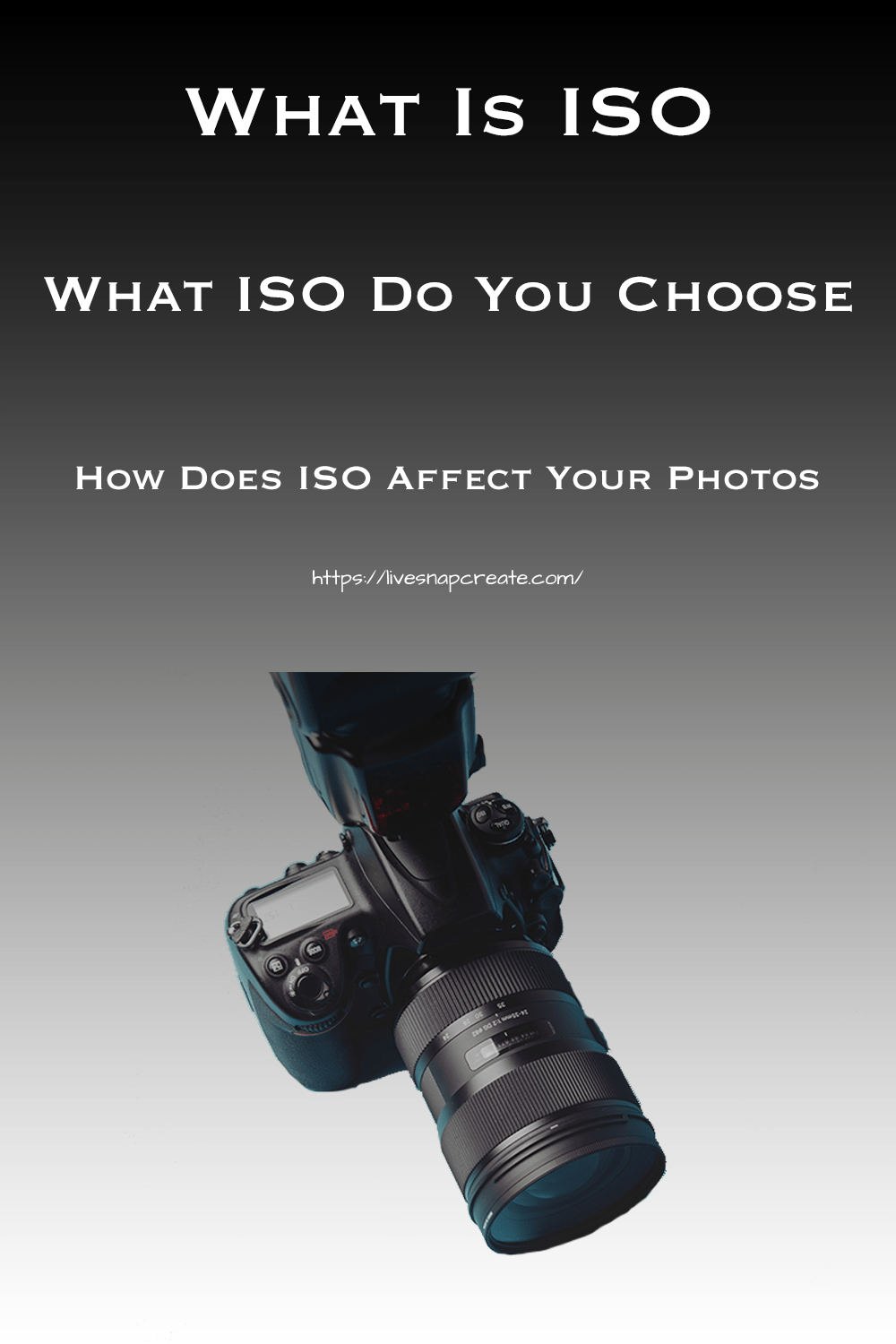 ISO_Pin5a - Live Snap Create