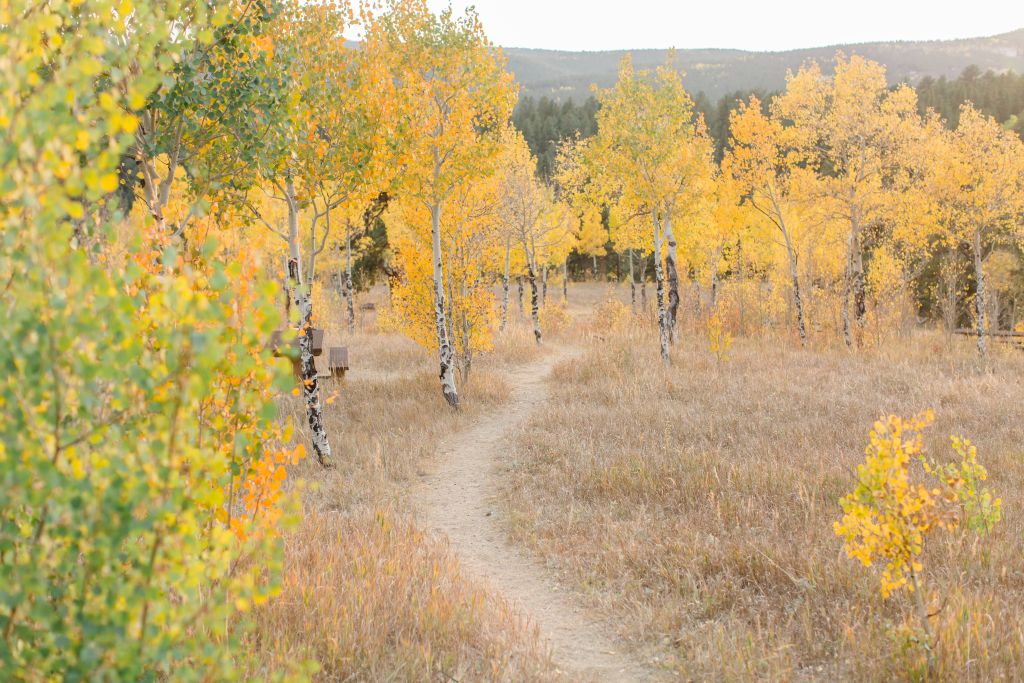 10 Fall Photo Ideas - Live Snap Create