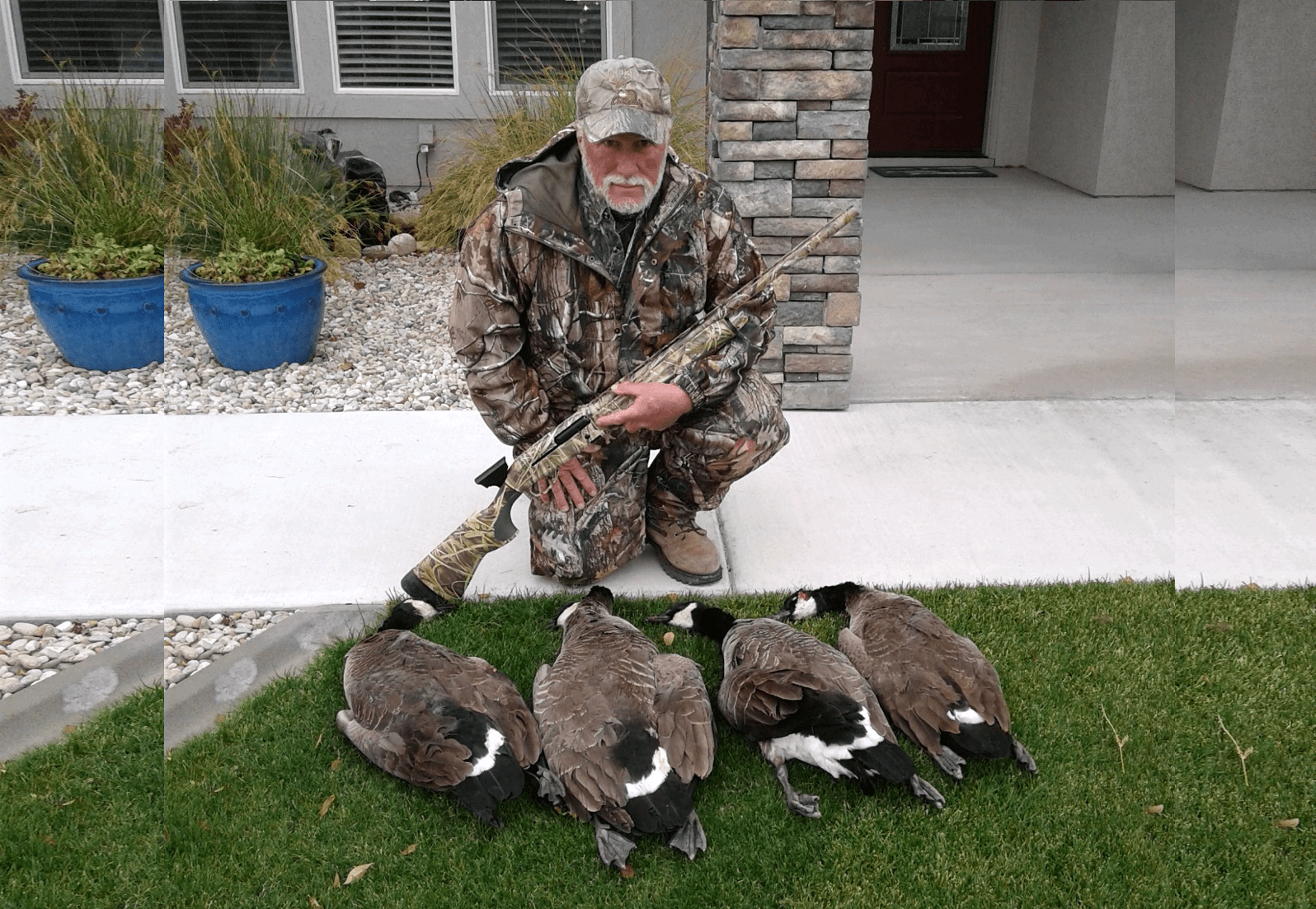 Goose Hunt Idaho | Lizard Key Books