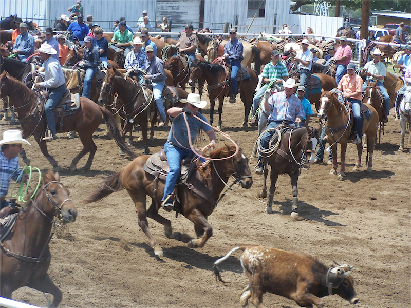2004 | Llano Crawfish Open