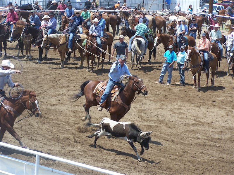 2004 | Llano Crawfish Open