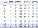 Healthgpt A Medical Large Vision Language Model