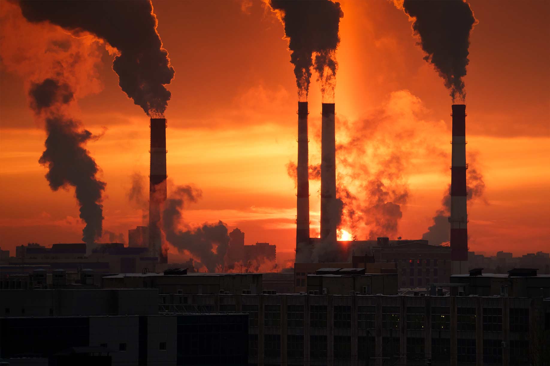 Electricity Shortages Leave Farmers in the Dark: A Looming Crisis for ...