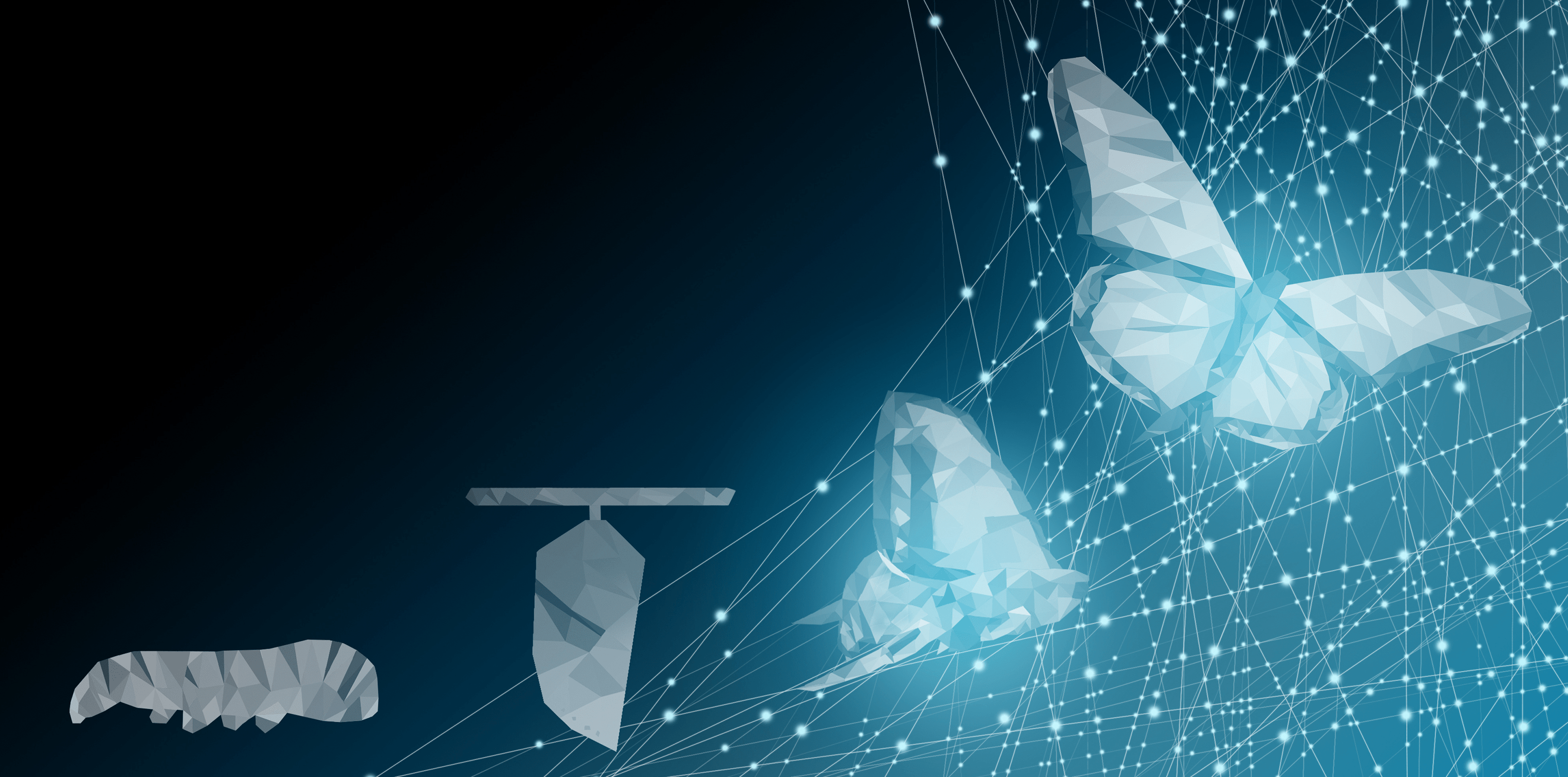 Branded Content Lightning Rounds - Social News Desk Sales Advice ...