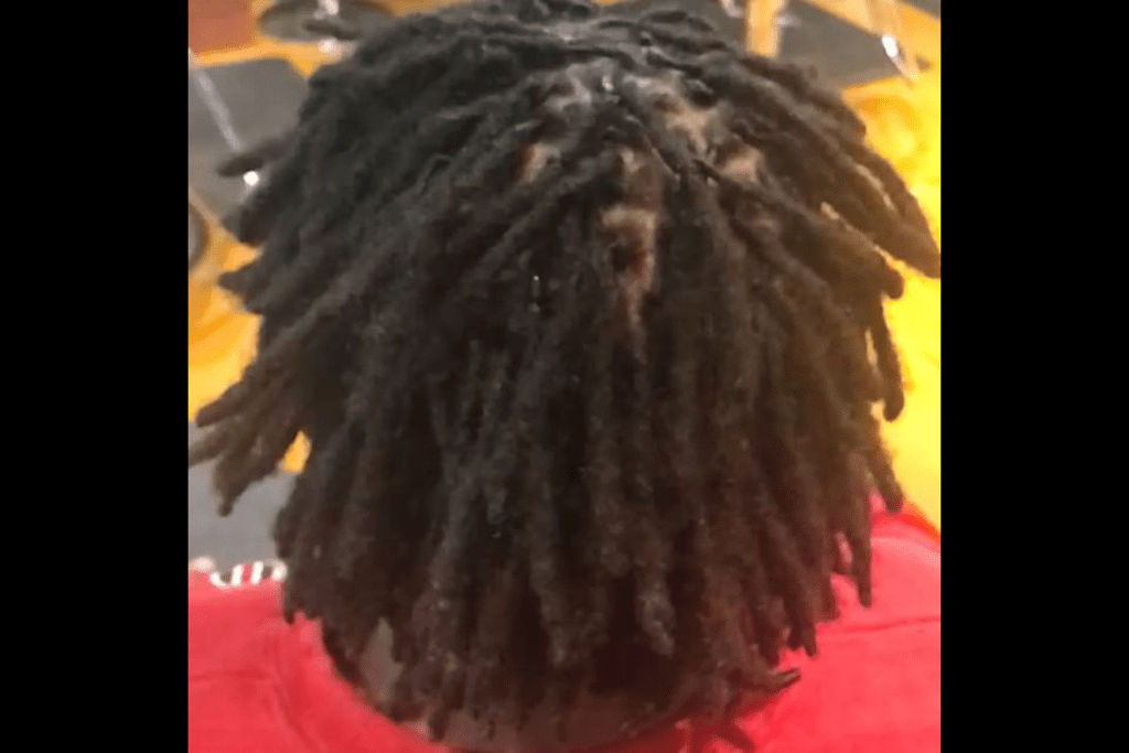 Traditional Locks and Brother Locks - Locs Of Glory
